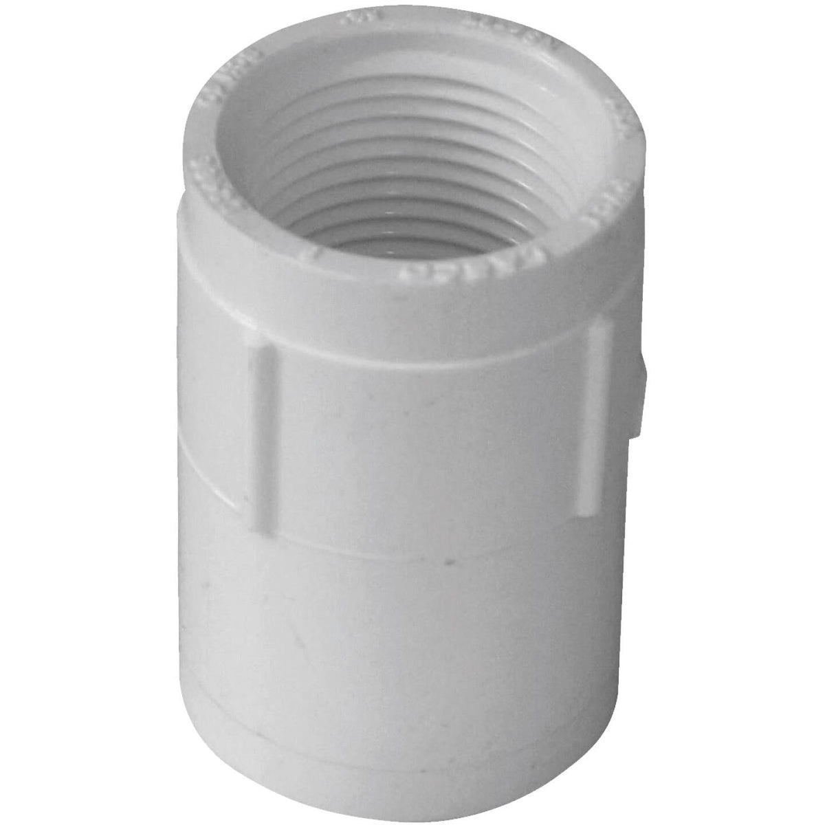 Charlotte Pipe 3/4 In. FIP Sch. 40 Threaded PVC Coupling - Greenwood ...